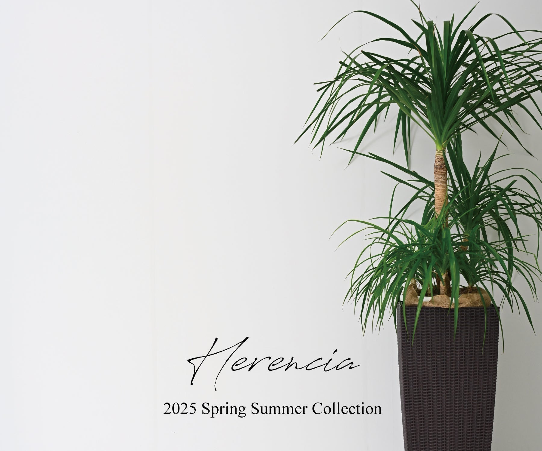 2025 Spring/Summer Collection